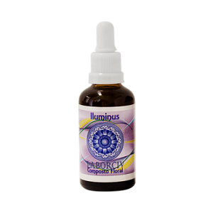 Laborciv – Florais Brasileiros