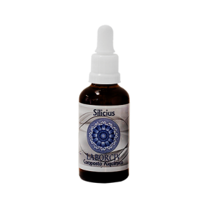 Laborciv – Florais Brasileiros